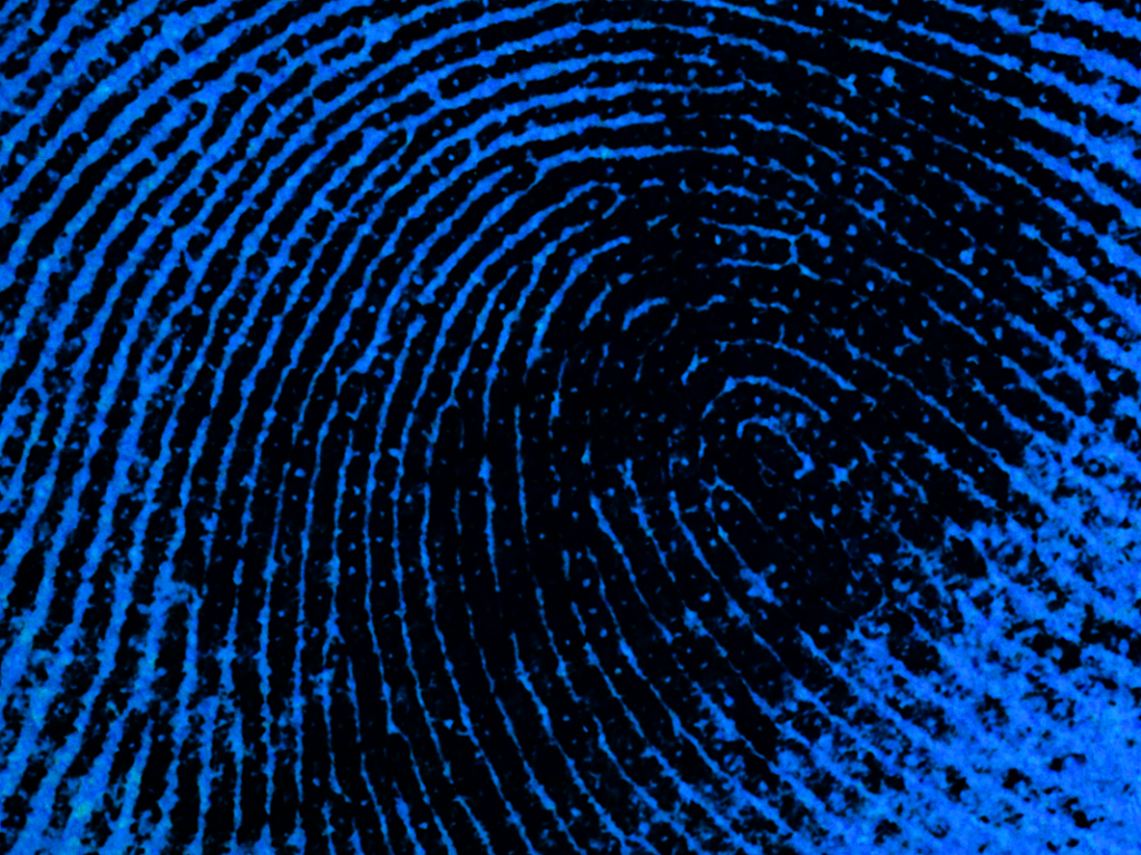 The Zero-Trust Network Security Model - Information Security Forum