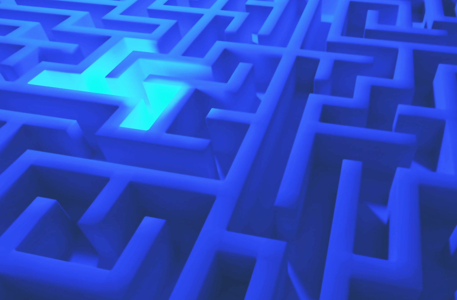 Leadership Insights: Exploring the role of the Business Information ...