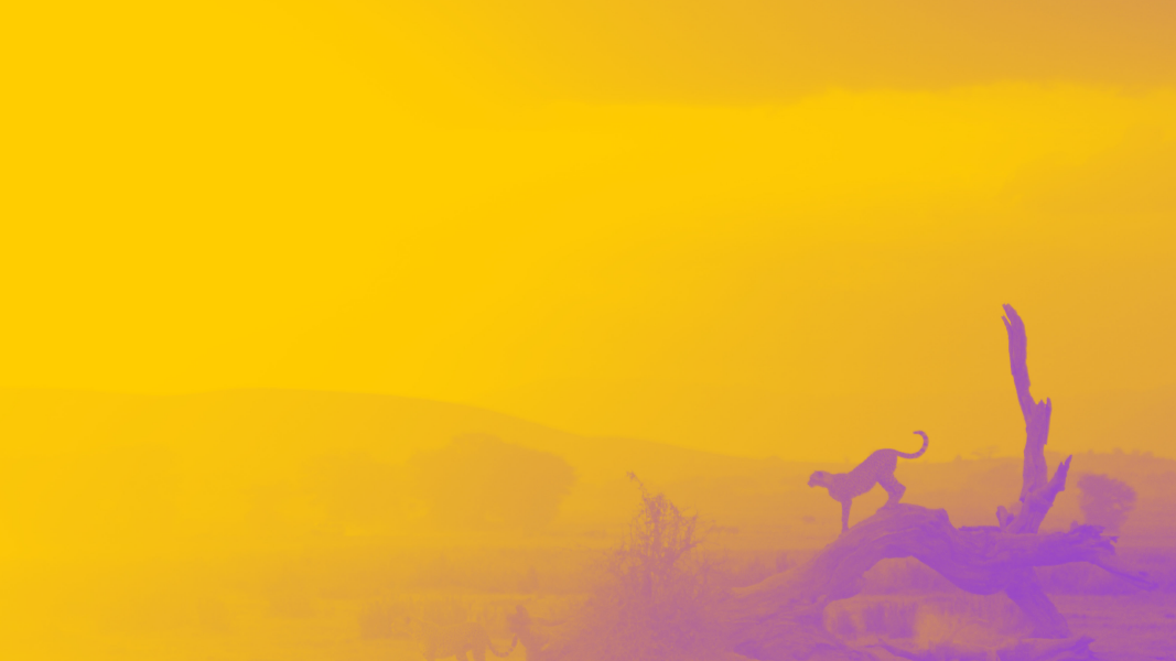 Events - Information Security Forum