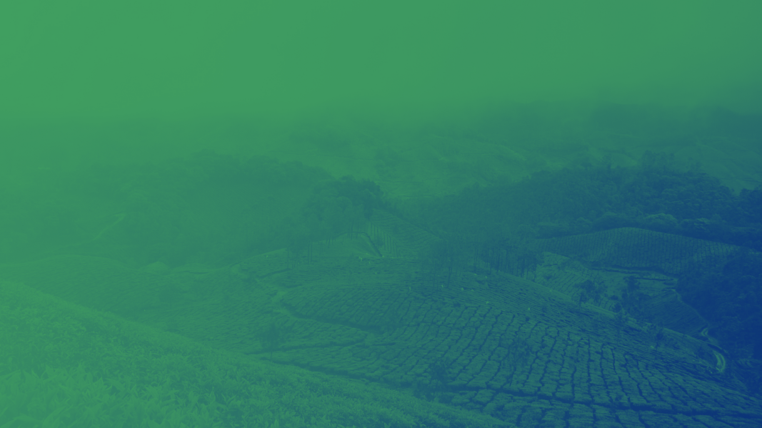 India Chapter Spring Meeting 2025 - Information Security Forum